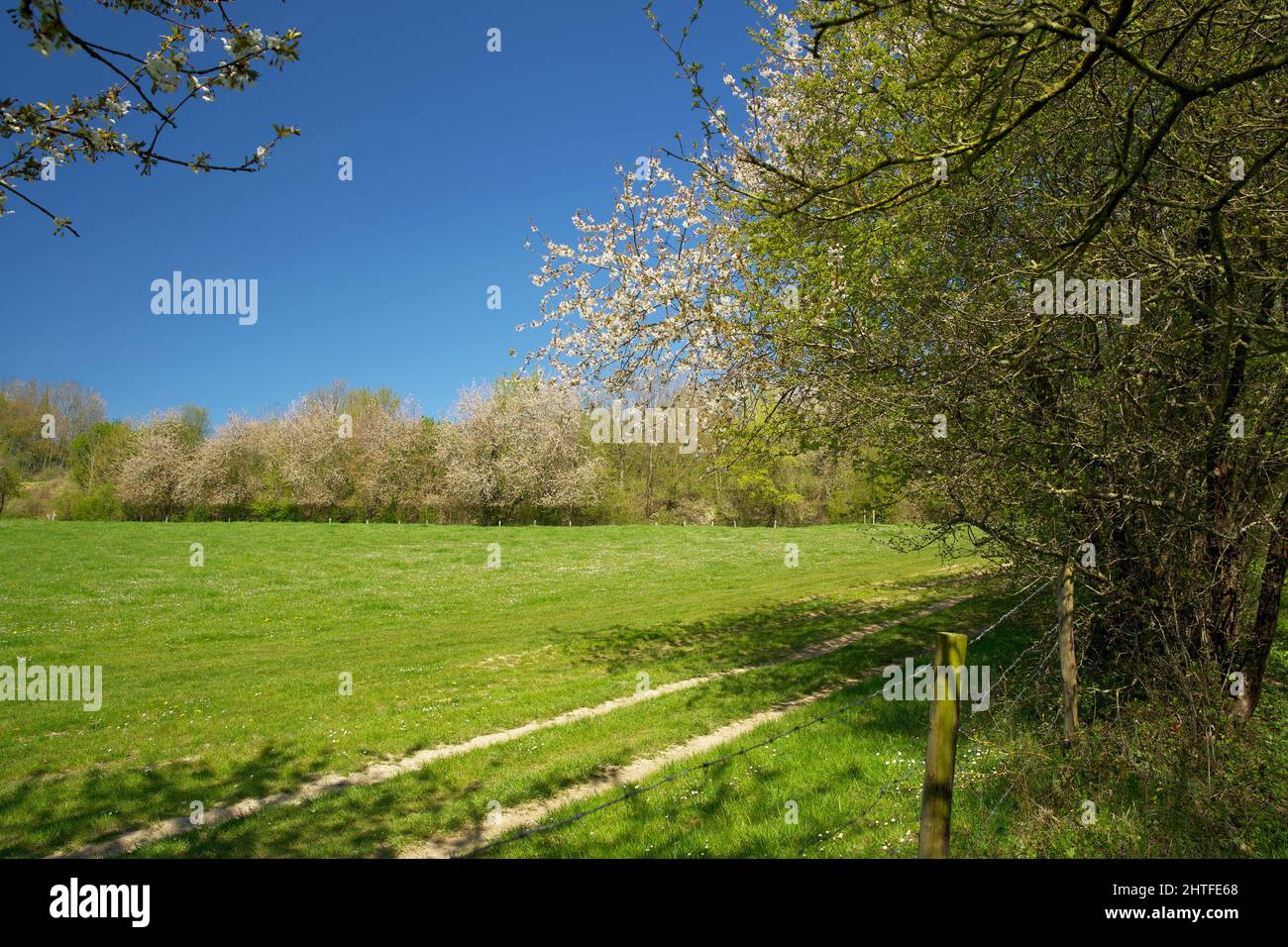 Hills of limburg hi-res stock photography and images - Alamy