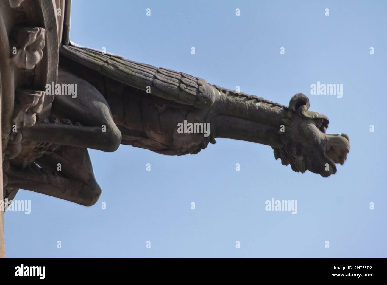 Medieval Gargoyle on castle wall Stock Photo - Alamy