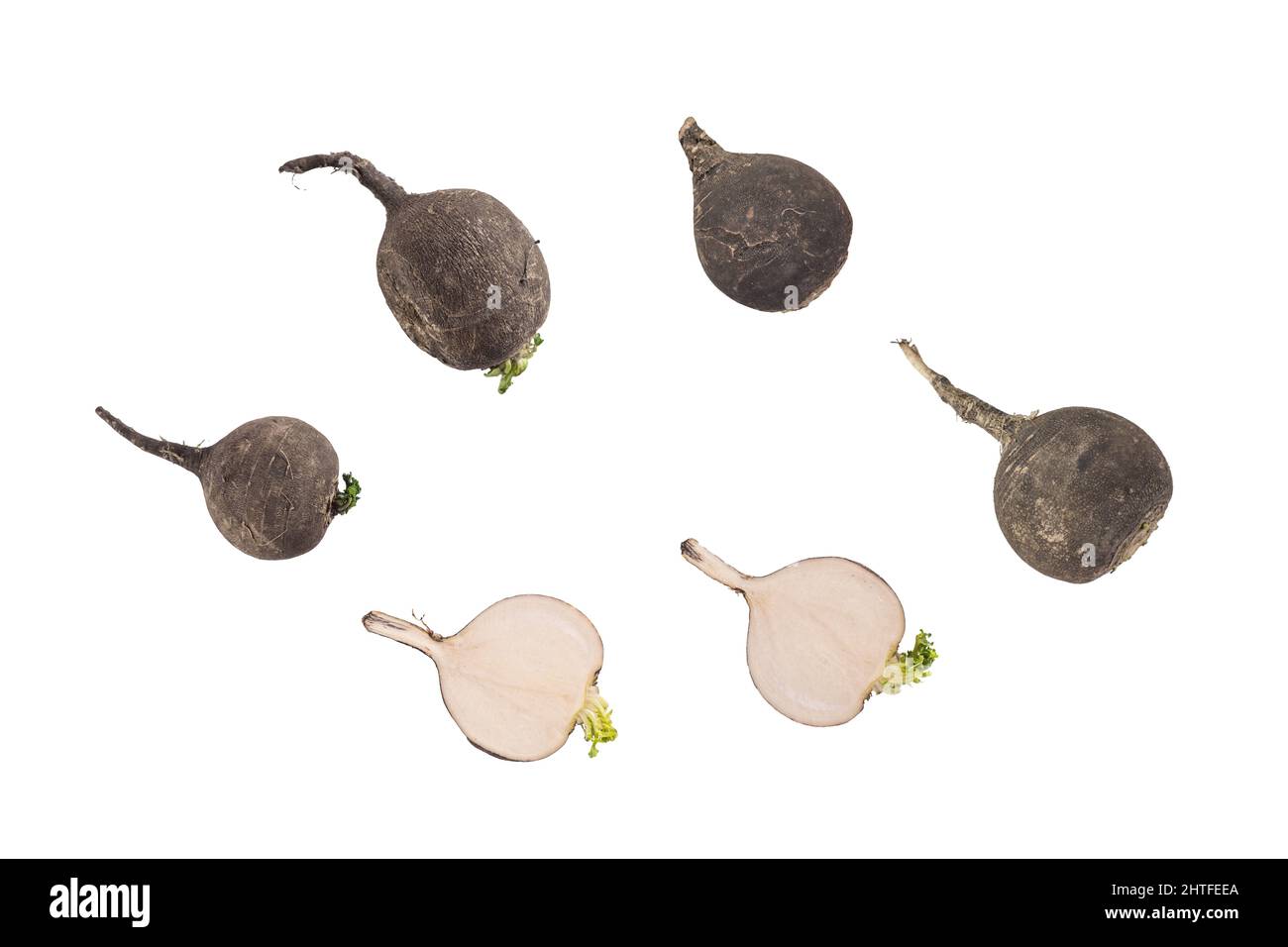 Isolated black radish root whole and in pieces Stock Photo - Alamy