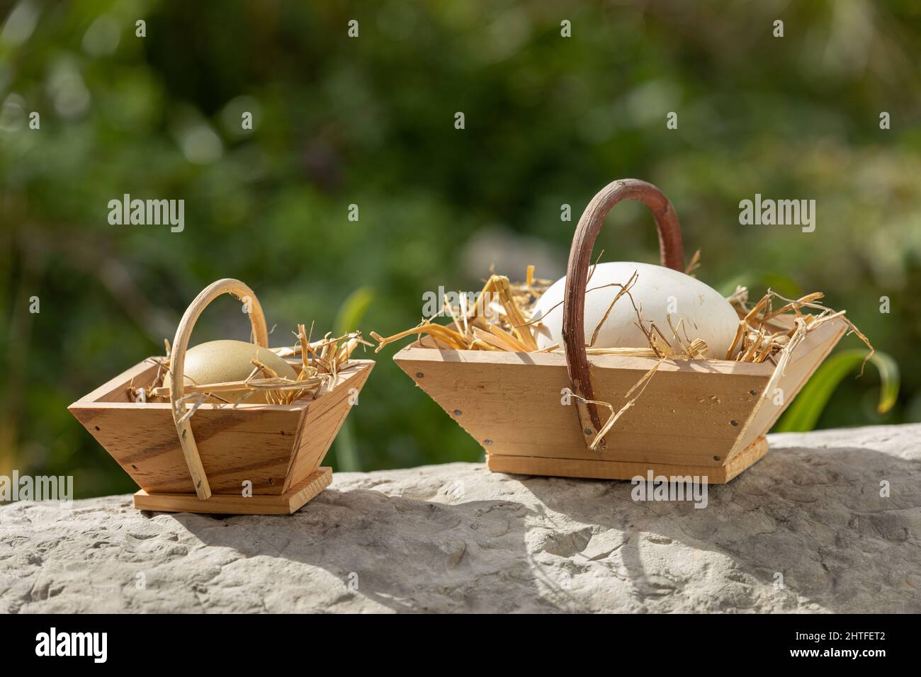 chicken and goose eggs in mini baskets outside Stock Photo - Alamy
