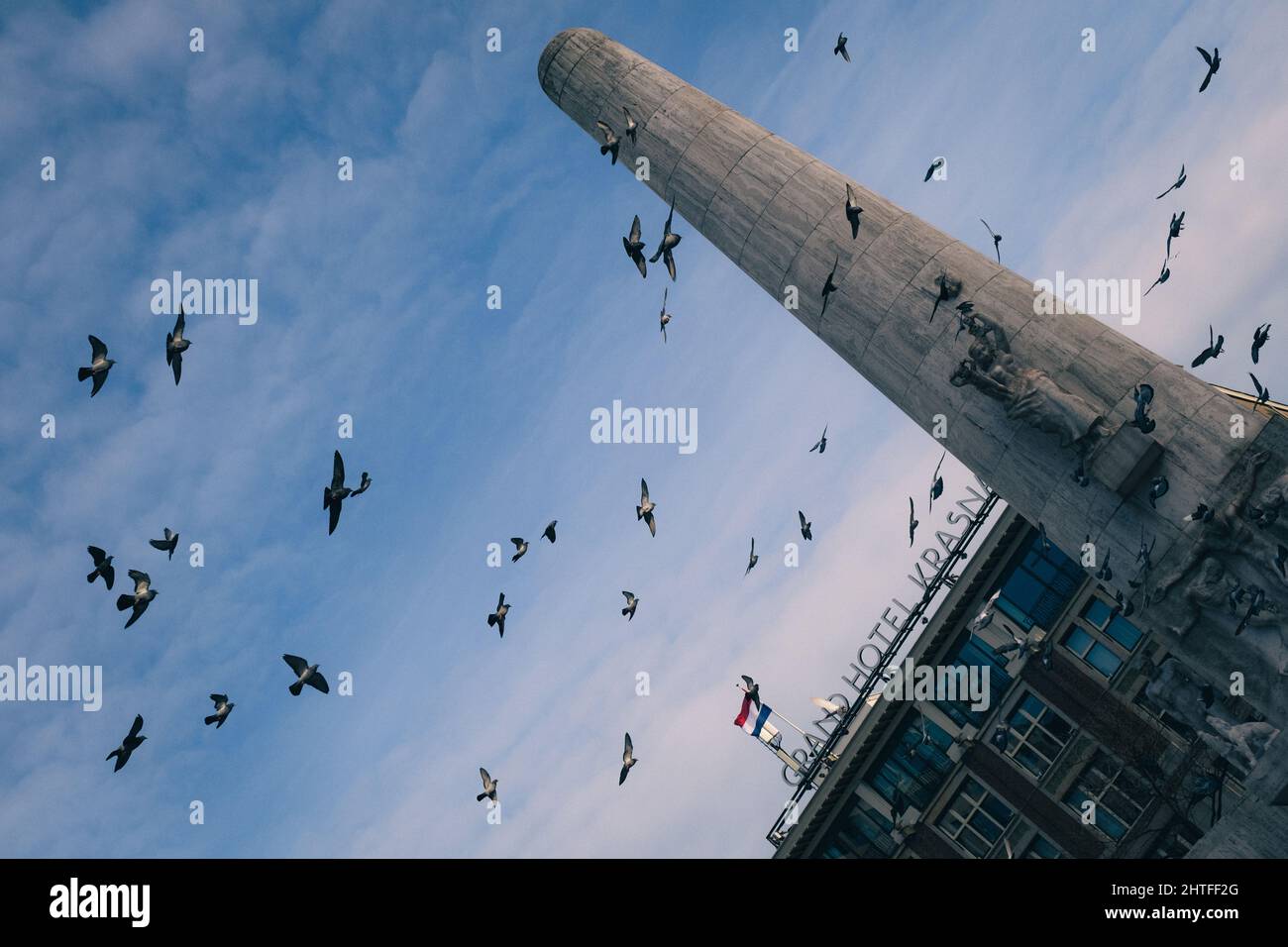 Birds flying in the city Stock Photo - Alamy