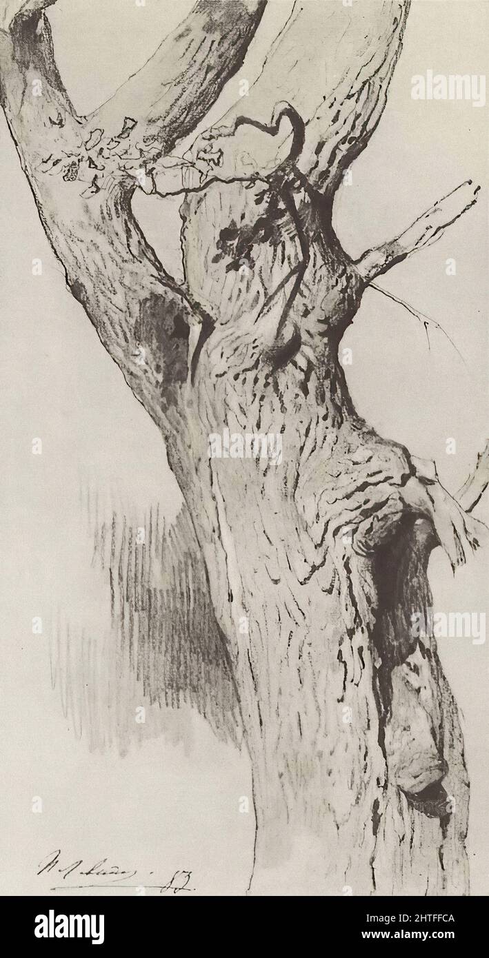 Isaac Levitan - Trunk an Old Tree 1883 Stock Photo - Alamy