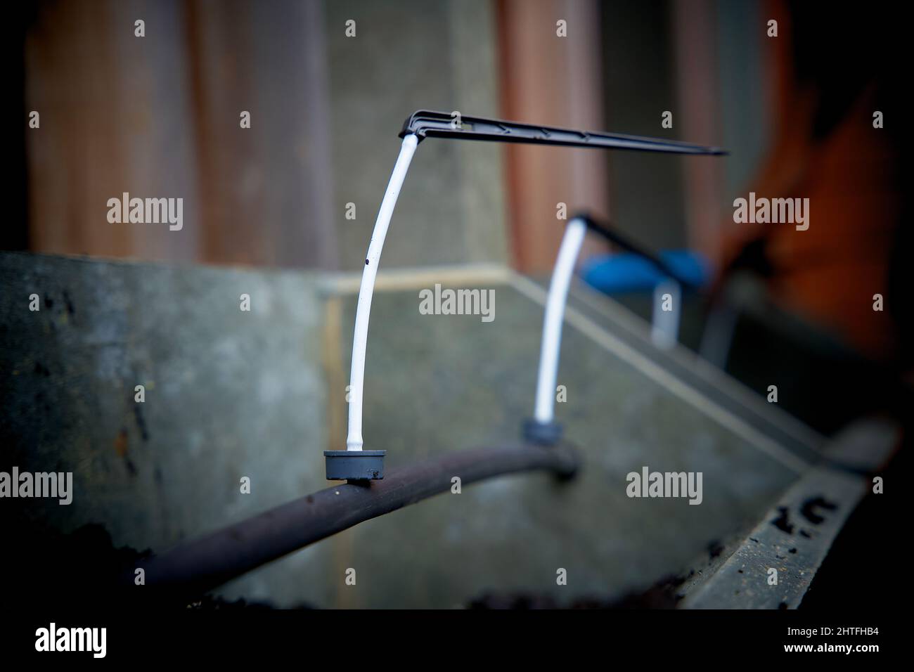 Irrigation system for watering a vertical green wall garden on behalf ...