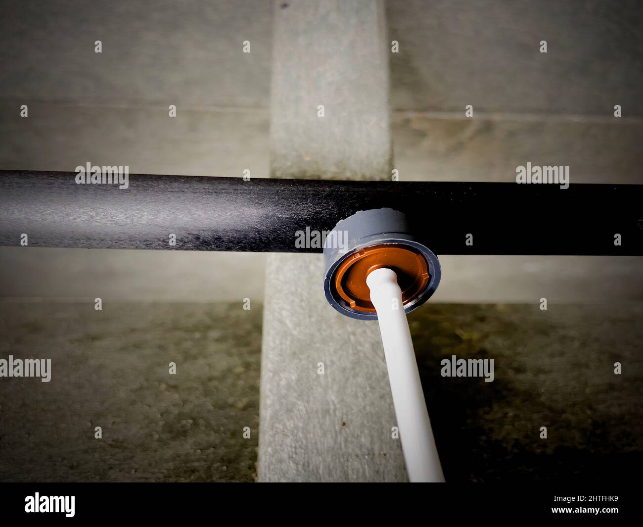 Irrigation system for watering a vertical green wall garden on behalf ...