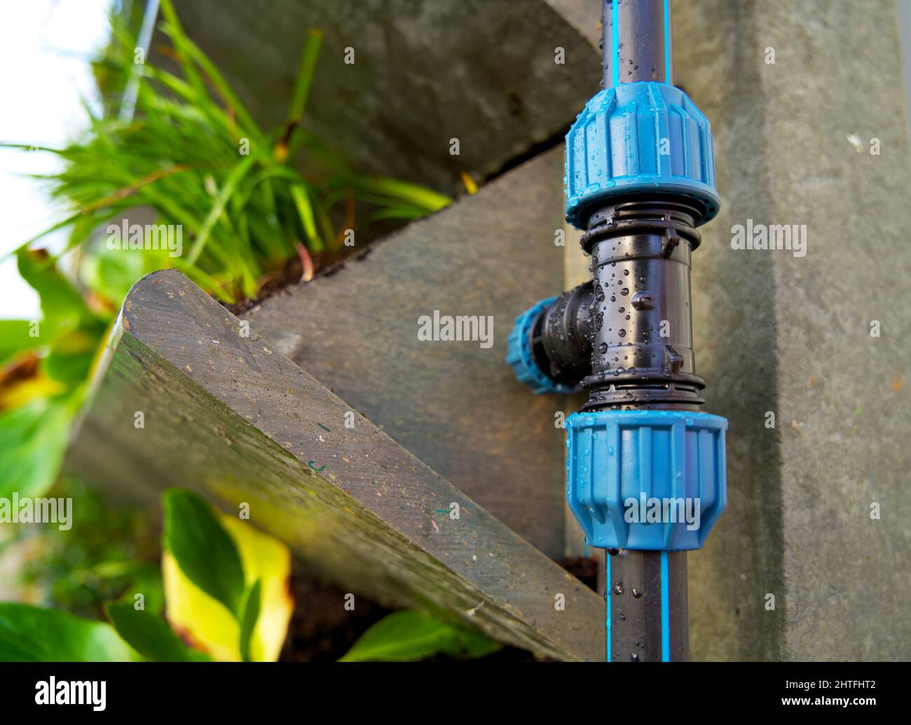Irrigation system for watering a vertical green wall garden on behalf ...