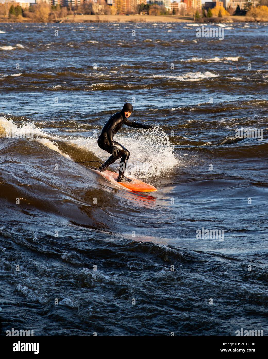 Vertical shot of a person surfing on the Ottawa River on a sunny day in ...