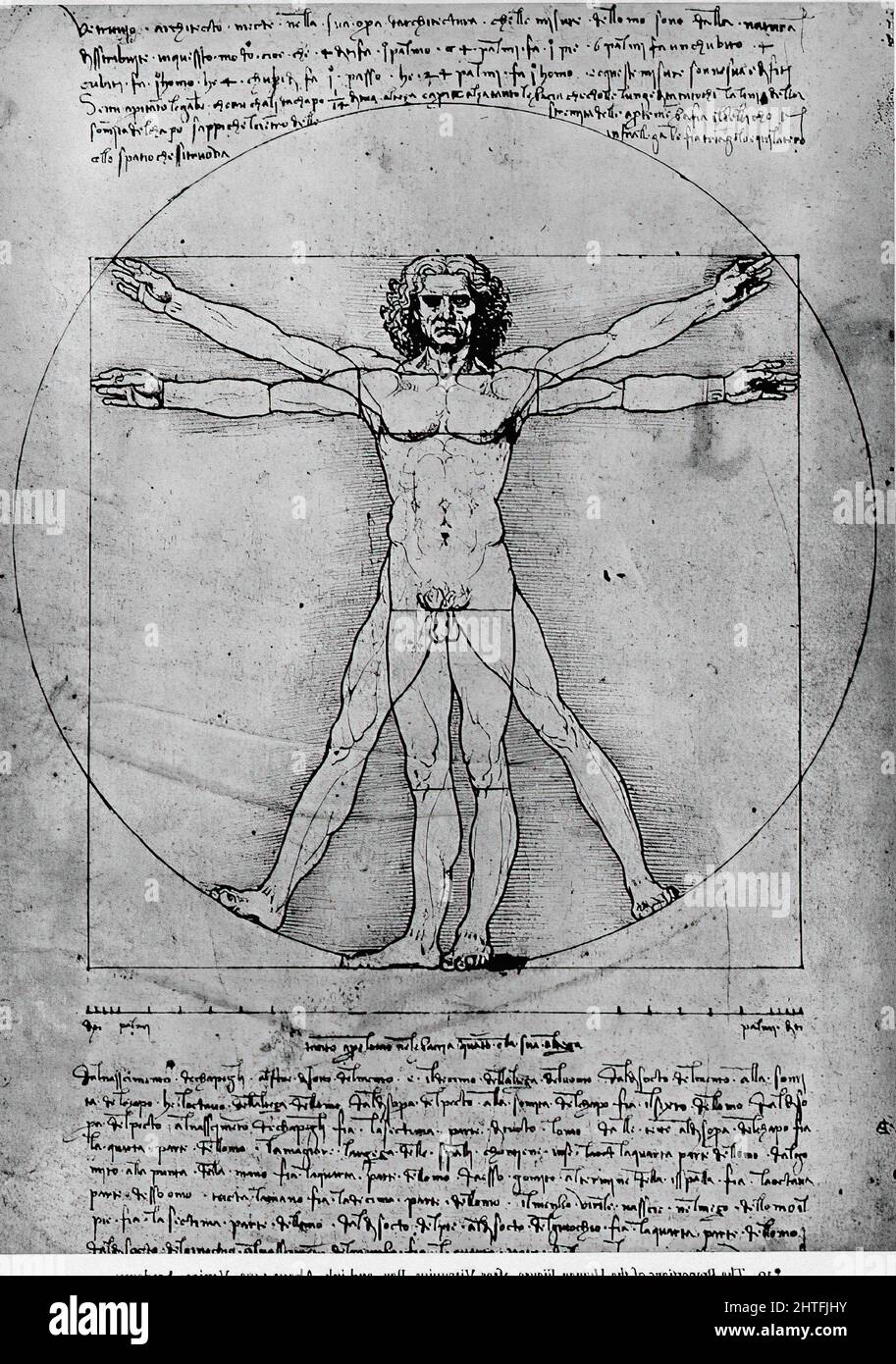 Leonardo Da Vinci - Proportions Human Figure Vitruvian Man 1492 Stock ...
