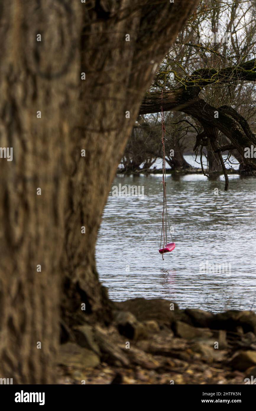 Tree over water hi-res stock photography and images - Alamy
