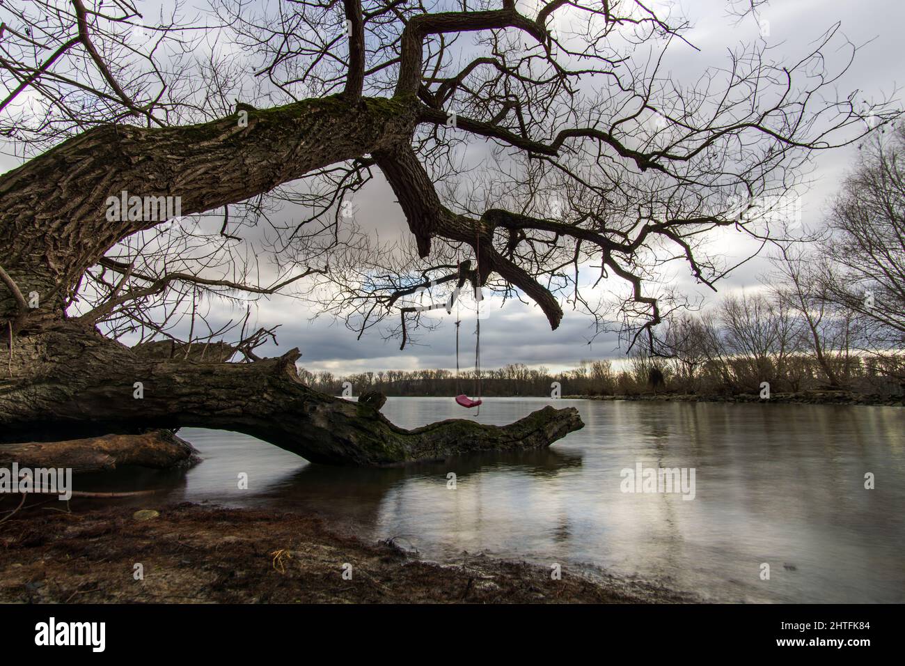 Tree swing bench hi-res stock photography and images - Alamy