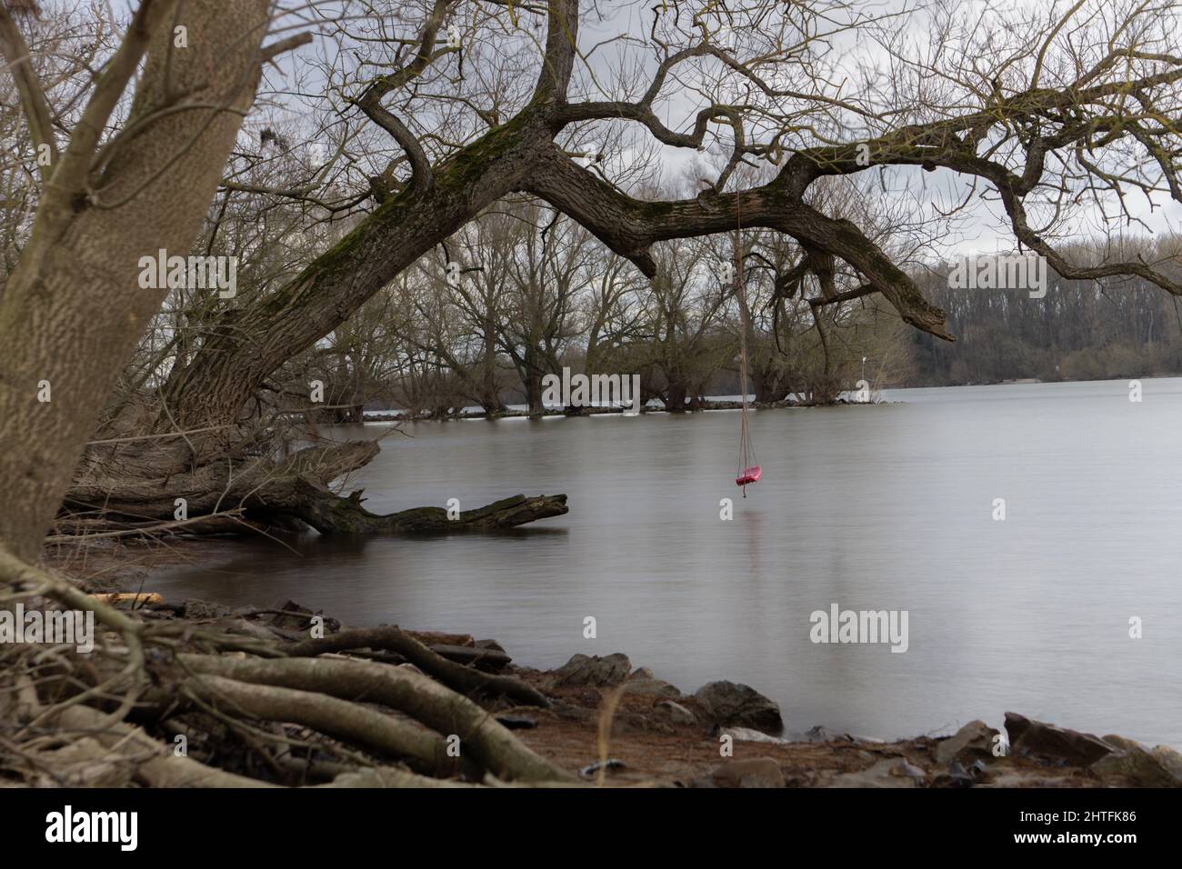 Swing on tree over water Stock Photo - Alamy