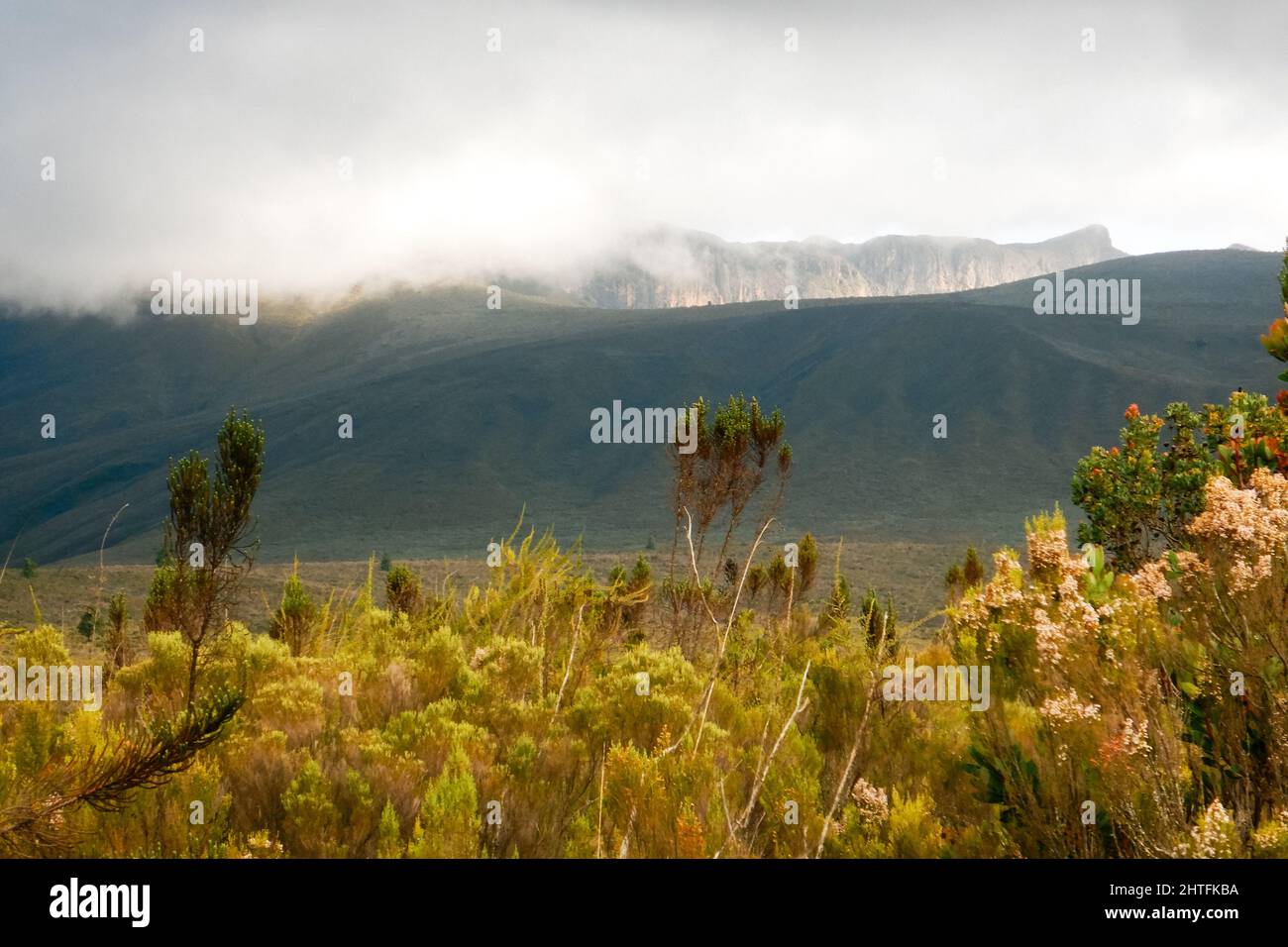 Scenic mountain landscapes at Mount Kenya National Park, Kenya Stock ...
