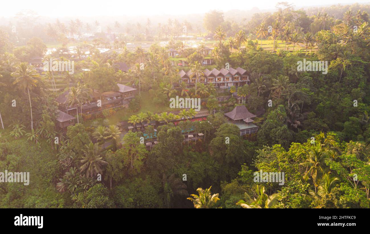 Aerial view of a landscape in the town of Ubud in Bali, Indonesia Stock ...