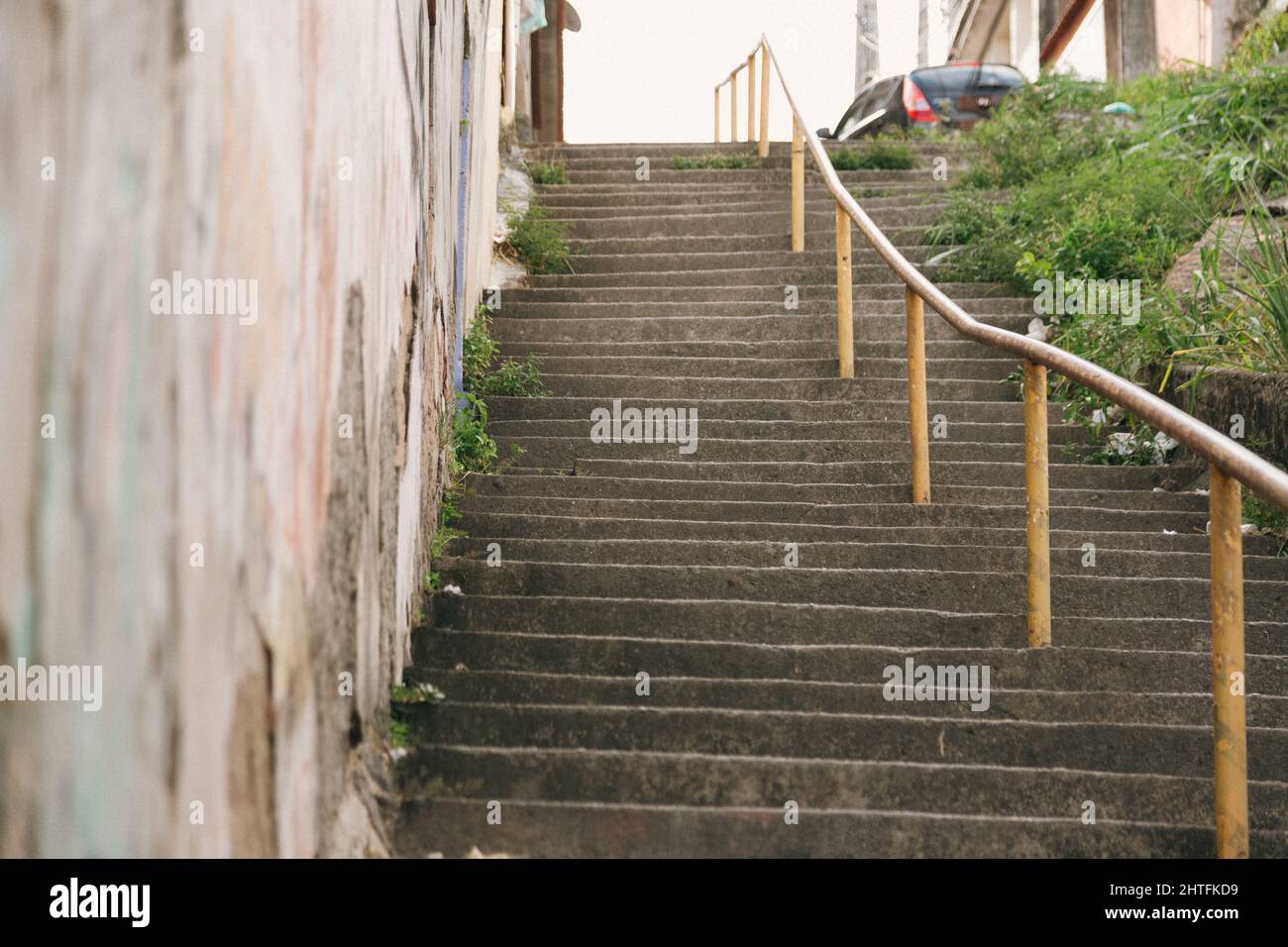 View of ascending urban stairs with bush plants and gunge old walls ...