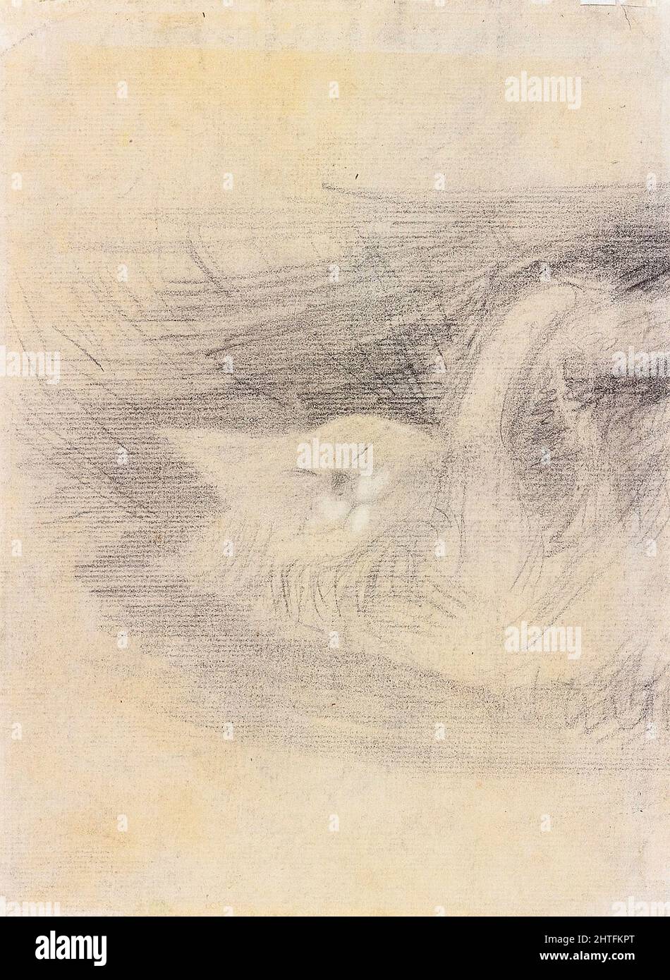 CAT STUDY DRAWING -ALFRED SISLEY (1839 - 1899 Stock Photo - Alamy