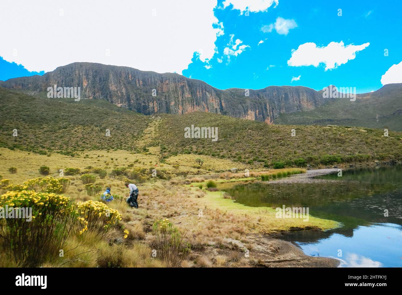 A hiker at Lake Alice, Mount Kenya National Park, Kenya Stock Photo - Alamy
