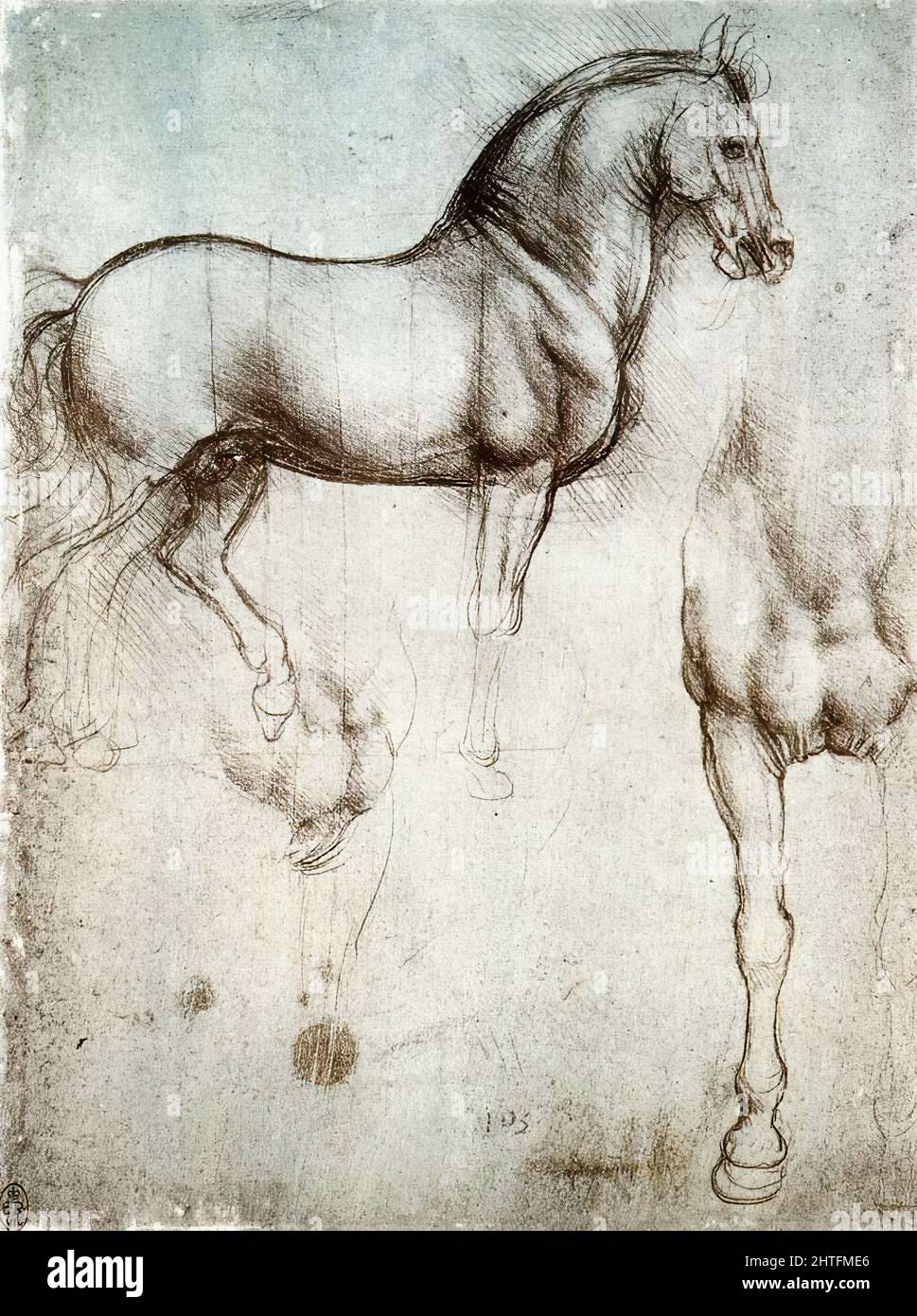 Leonardo Da Vinci - Study Horses 1490 Stock Photo - Alamy