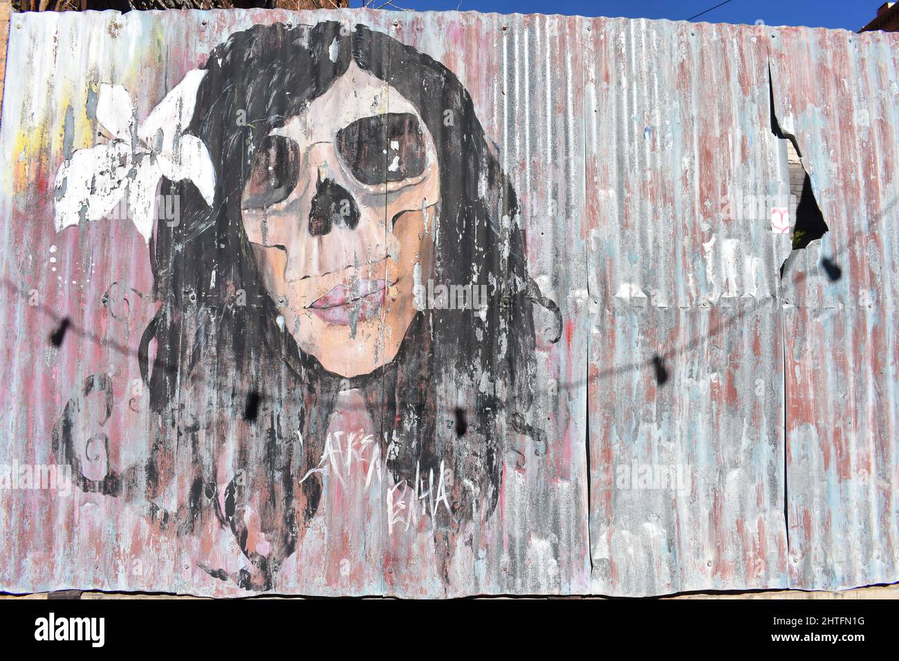 Street art mural of a skeleton with hair and flower painted on metal in ...
