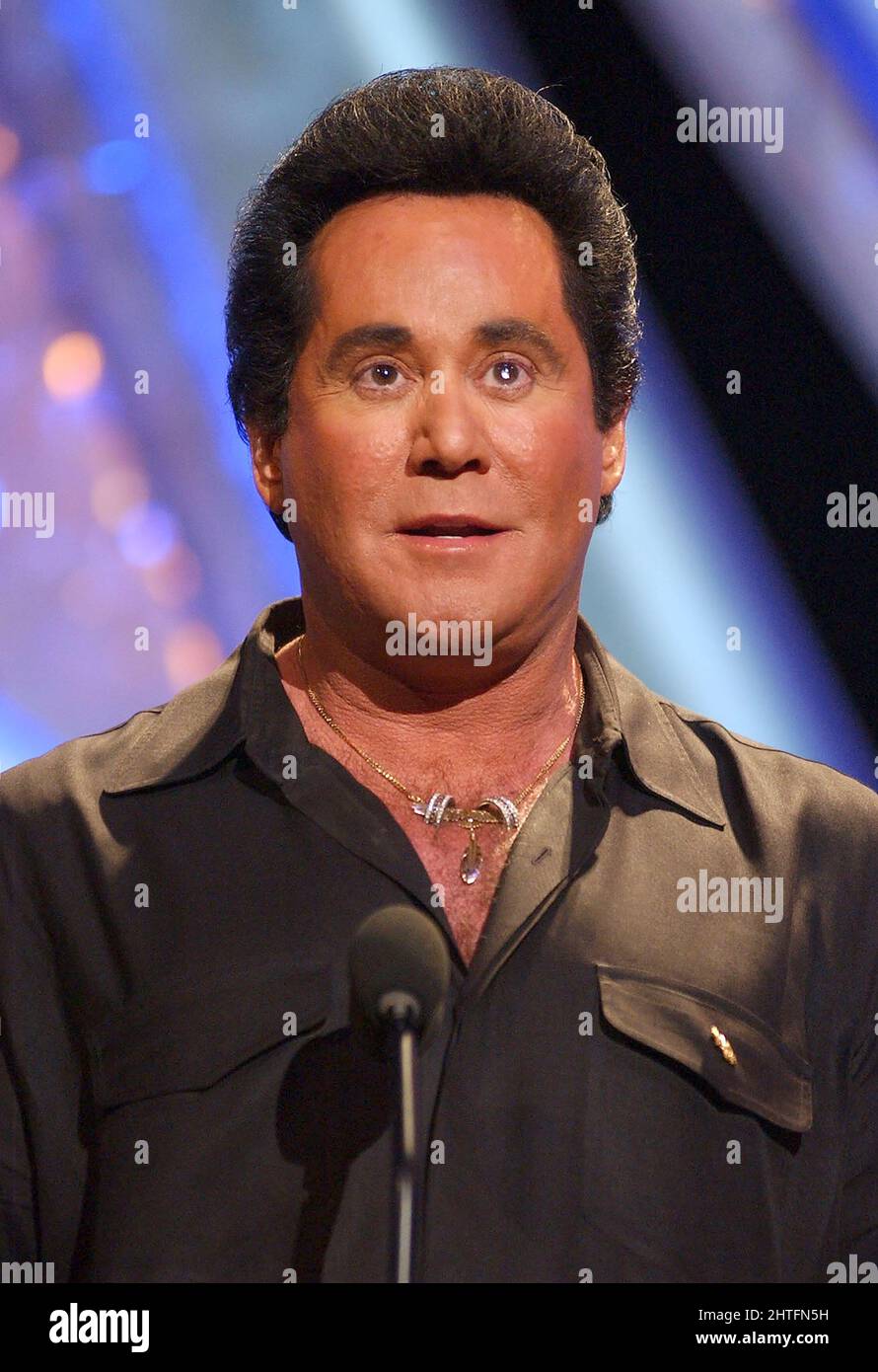 Vegas Vacation Wayne Newton