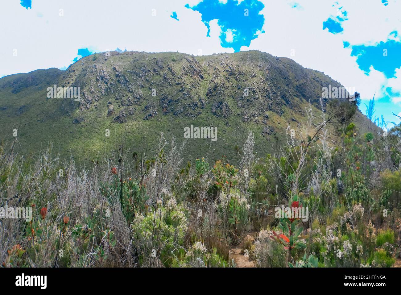 Scenic mountain landscapes at Mount Kenya National Park, Kenya Stock ...
