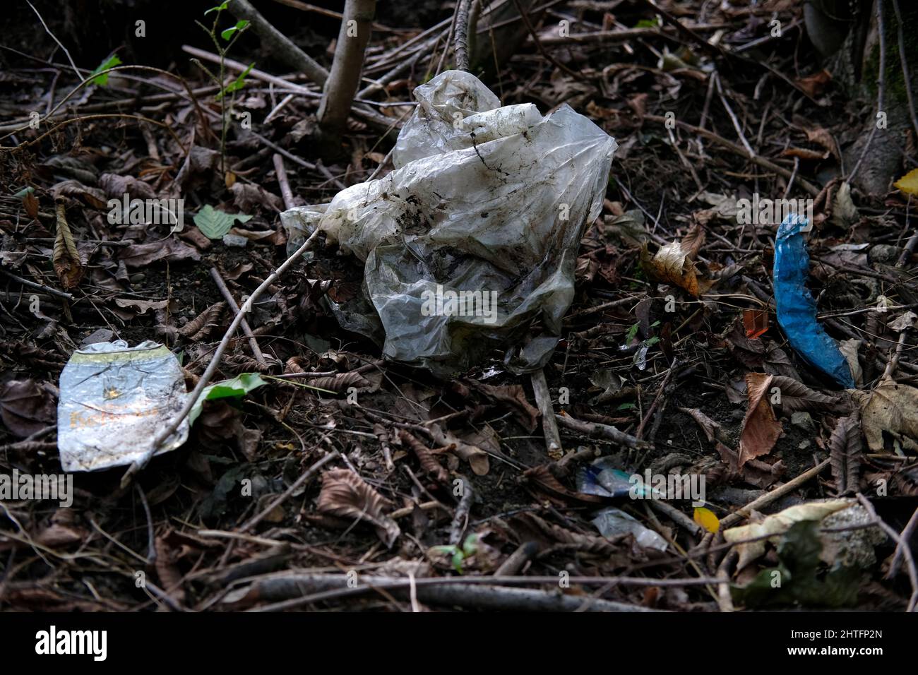 Closeup of a garbage on a forest ground Stock Photo - Alamy