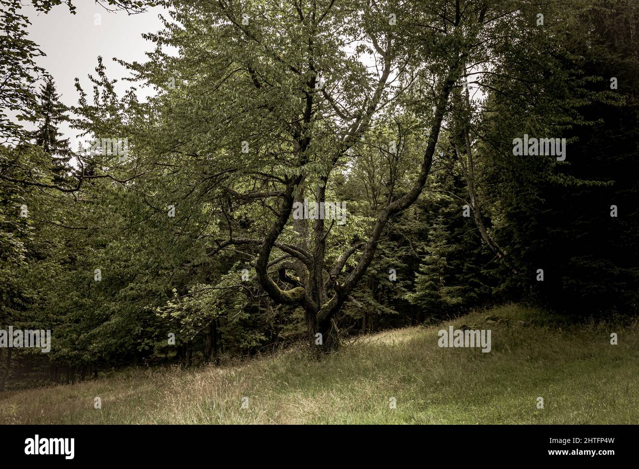 Strange slope hi-res stock photography and images - Alamy