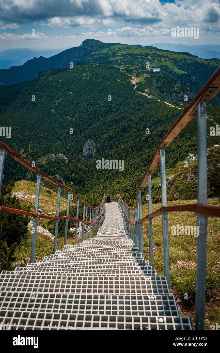 Vertical shot of a boardwalk surrounded by greenery in Ceahlau National ...
