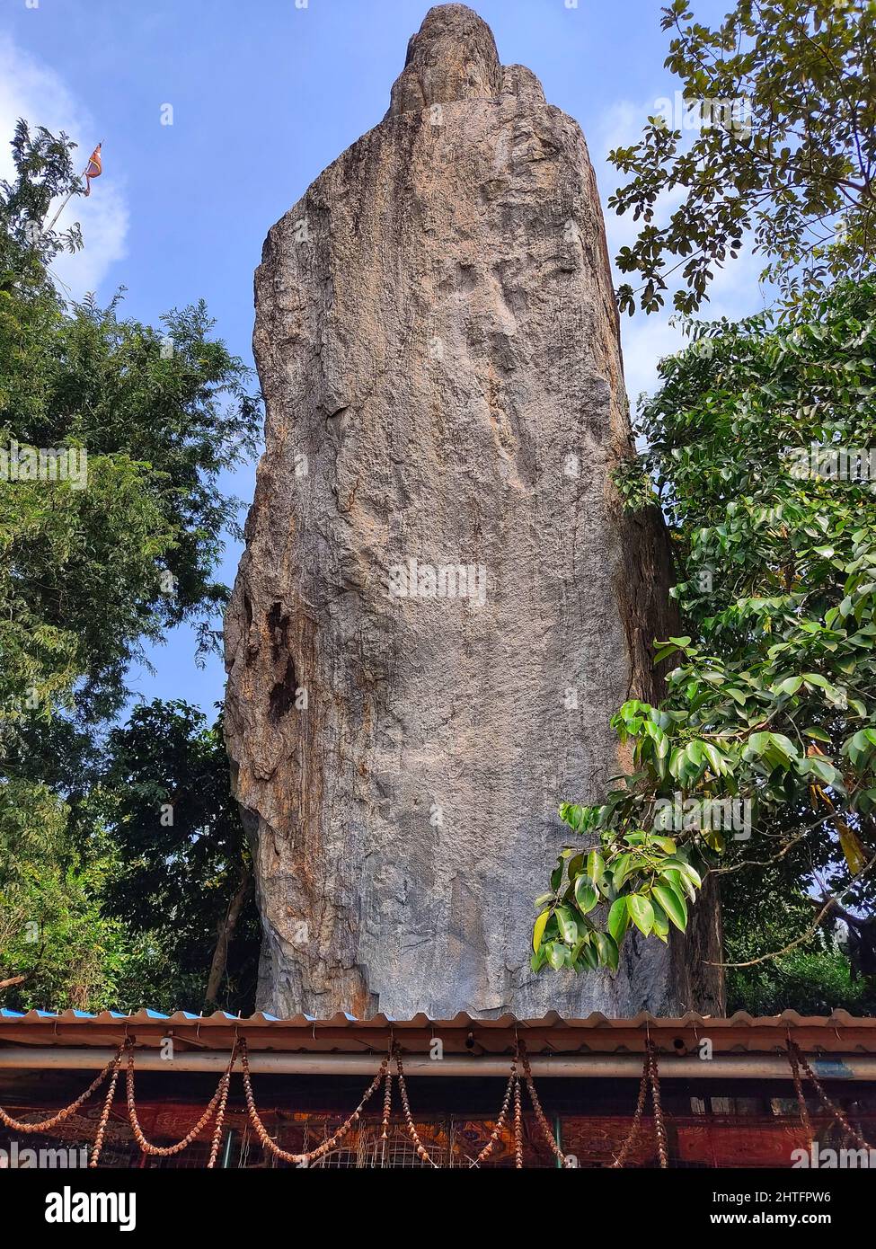 Vertical shot of the huge cliff in the forest with dense greenery ...