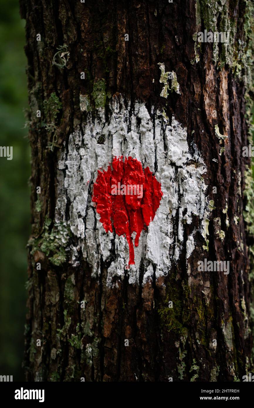 Red dot hiking sign hi-res stock photography and images - Alamy