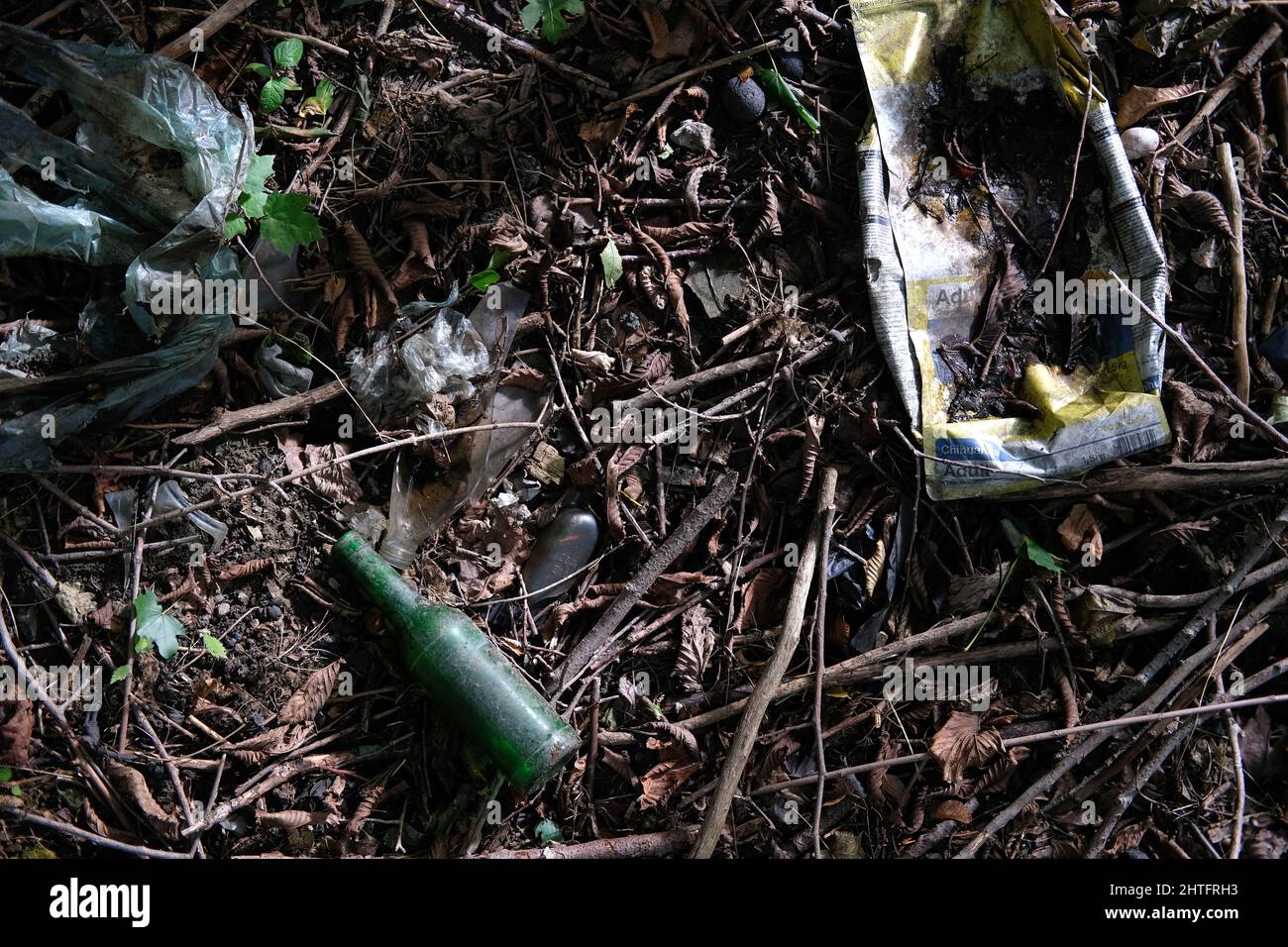Closeup of a garbage on a forest ground Stock Photo - Alamy