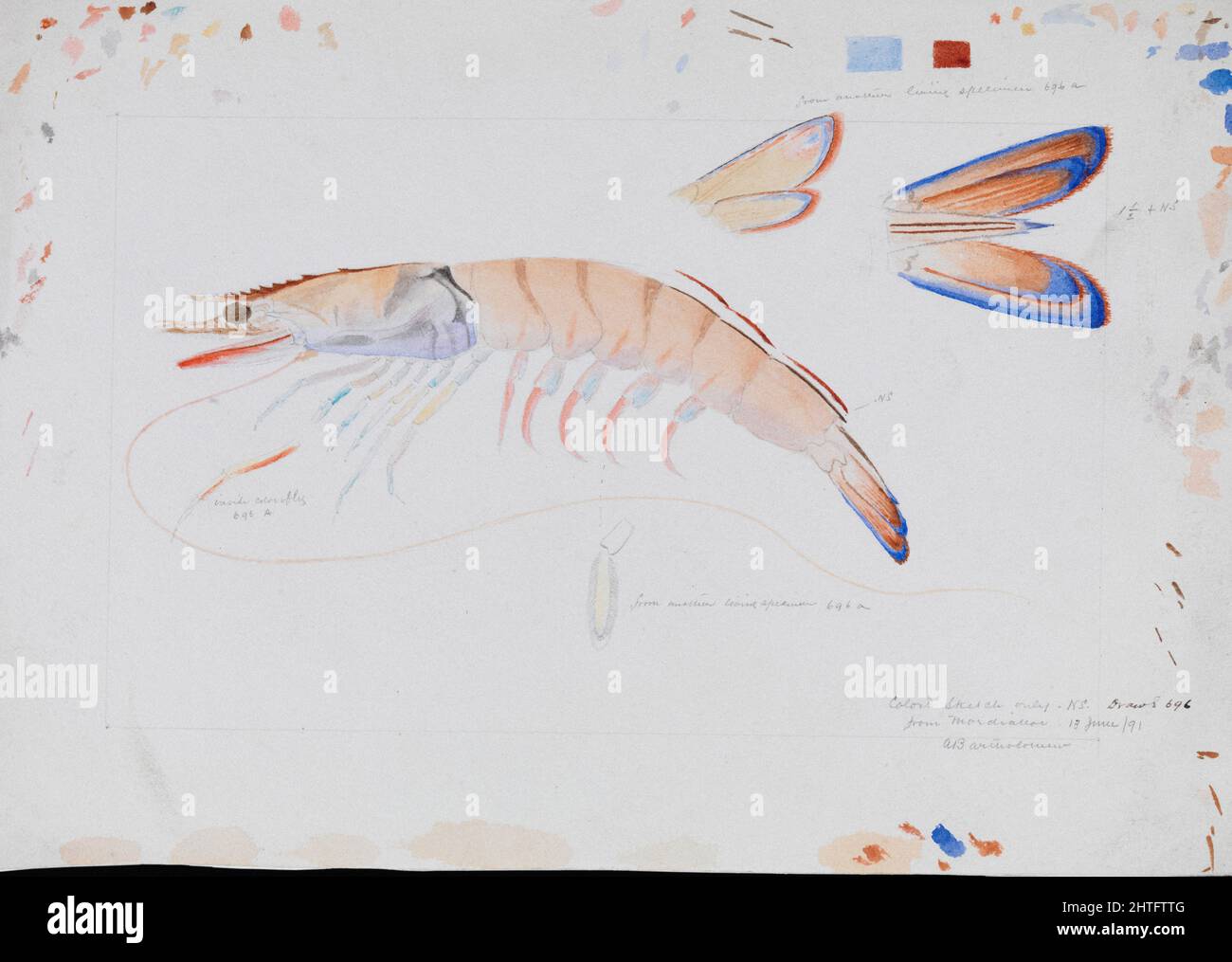 Arthur bartholomew hi-res stock photography and images - Alamy