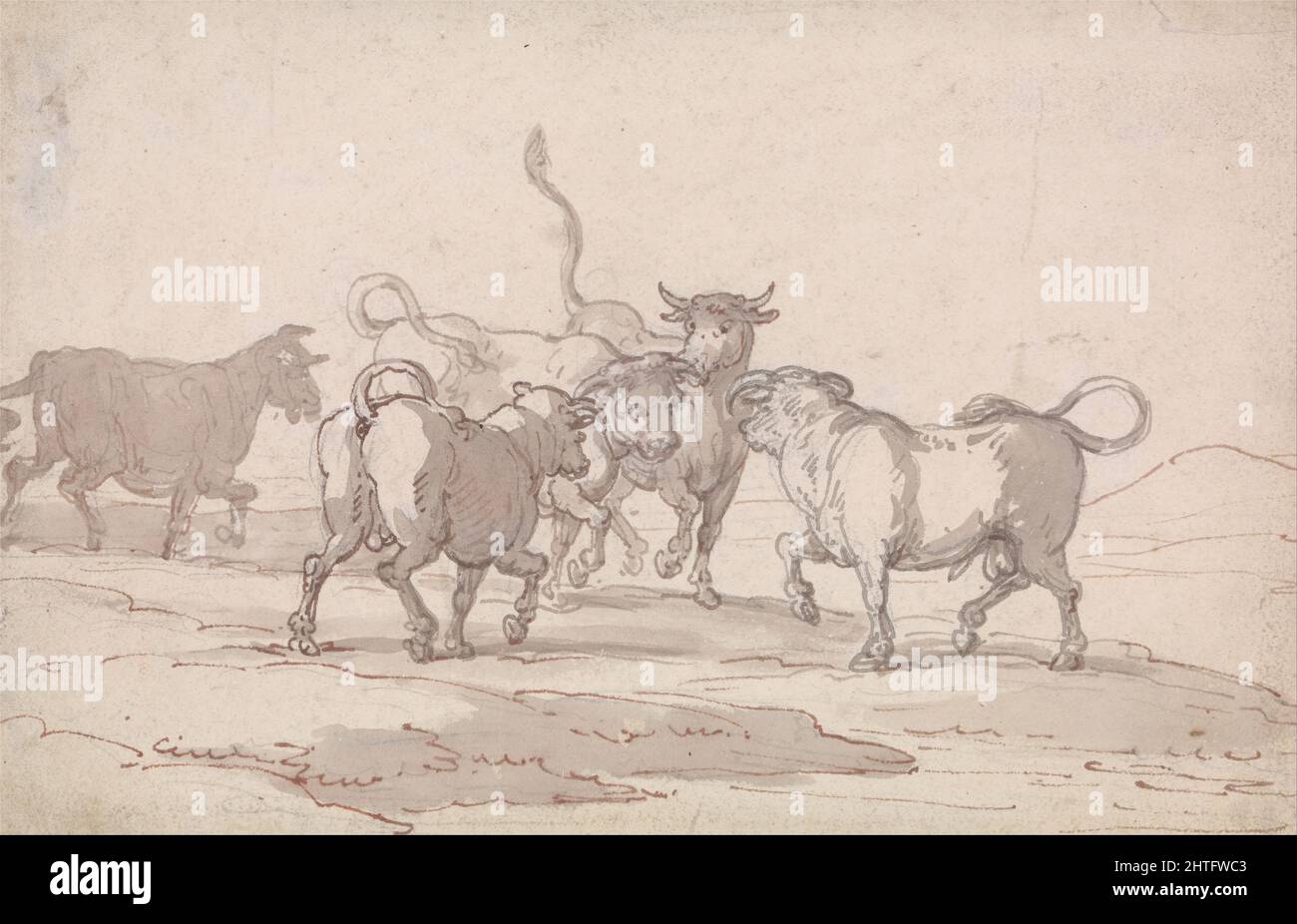 Thomas Rowlandson - A Group of Five Bulls about to Fight Stock Photo ...