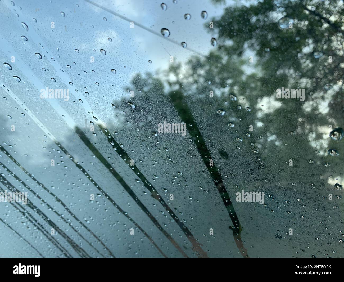 Glass with trees reflection and raindrops Stock Photo - Alamy