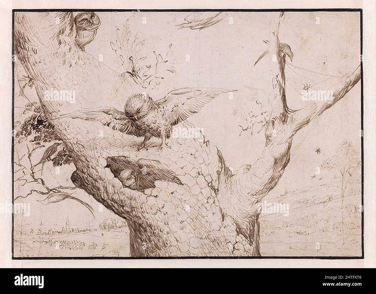 Hieronymus Bosch - the Owls Nest Stock Photo - Alamy