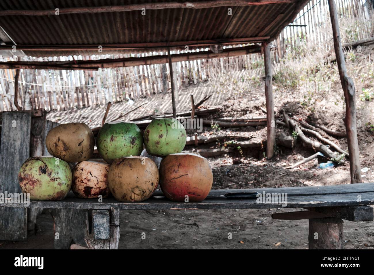 Bunch of coconuts on a park bench outdoors Stock Photo - Alamy