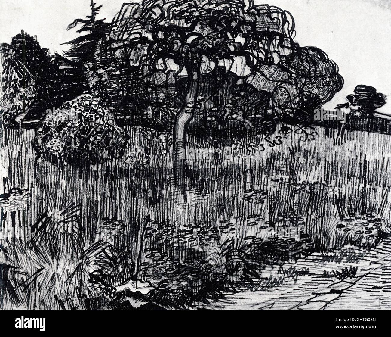 Vincent Van Gogh - Park Arles 1889 Db99 1889 Stock Photo - Alamy