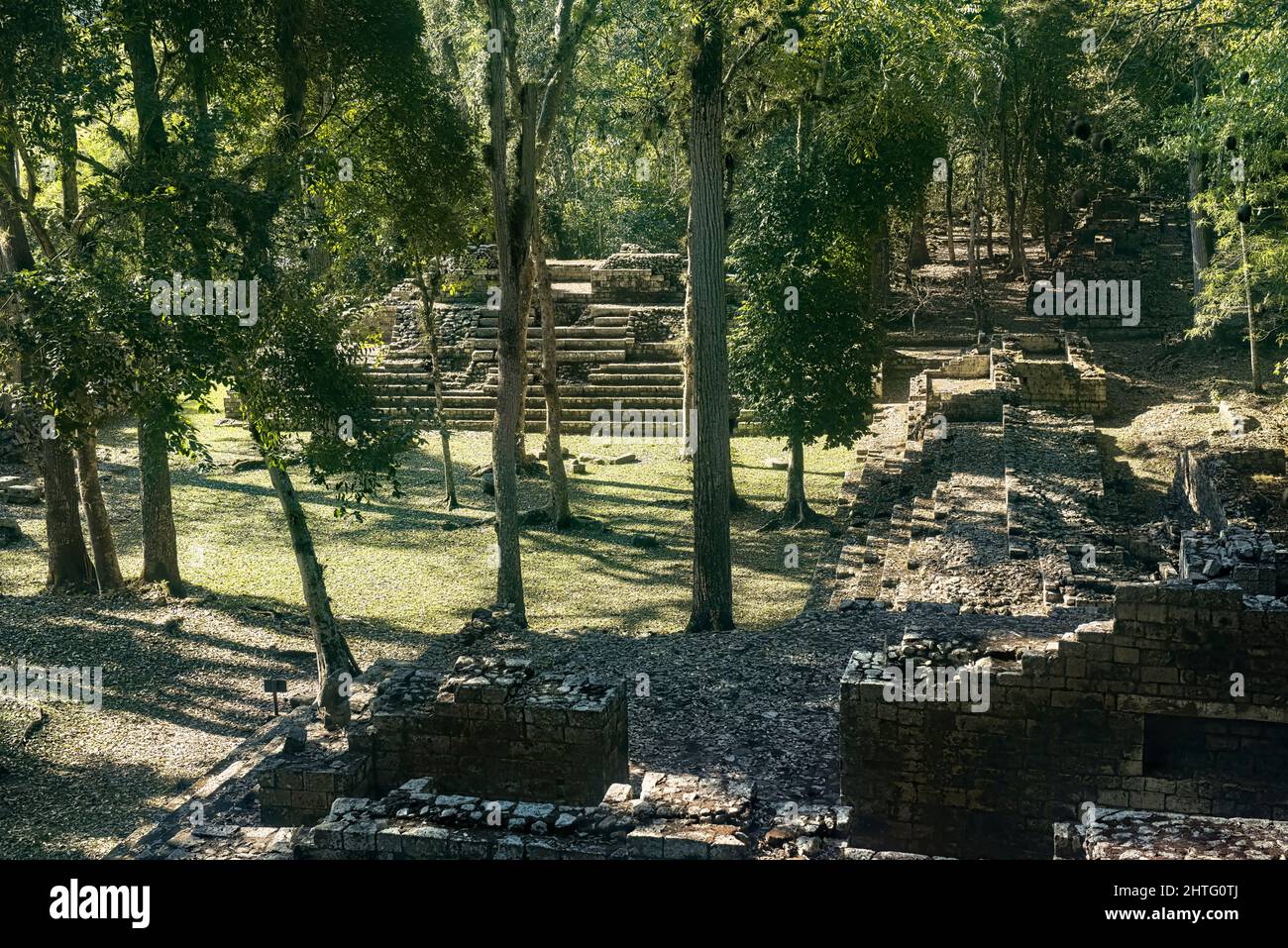 Maya cemetery hi-res stock photography and images - Alamy