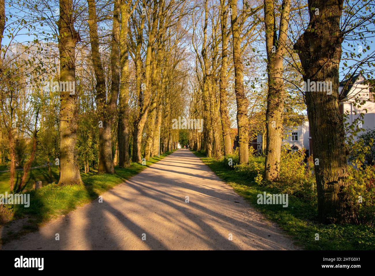 Long garden path lined with trees hi-res stock photography and images ...