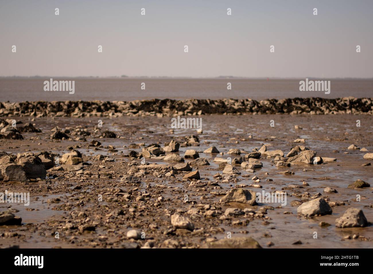 Beautiful shot wet mud hi-res stock photography and images - Alamy