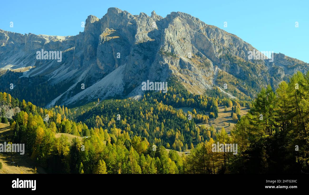 Breathtaking view of the part of Dolomites and dense spruce forest at ...