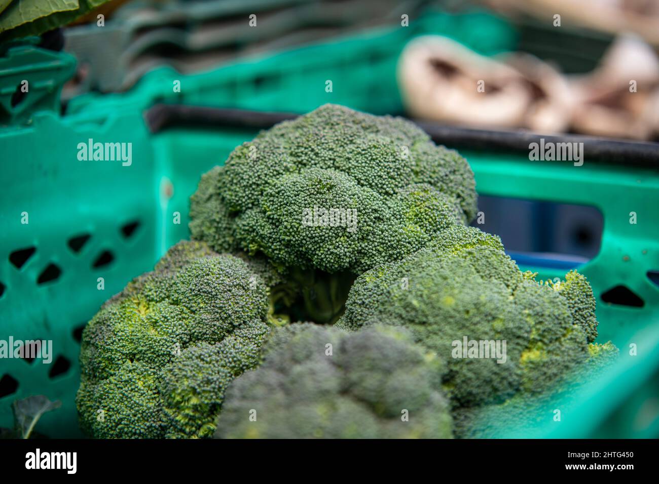 Natural fruits and vegetables without preservatives, on natural soil ...