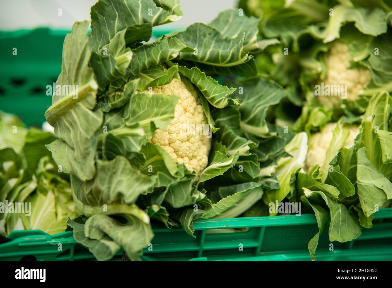 Natural fruits and vegetables without preservatives, on natural soil ...