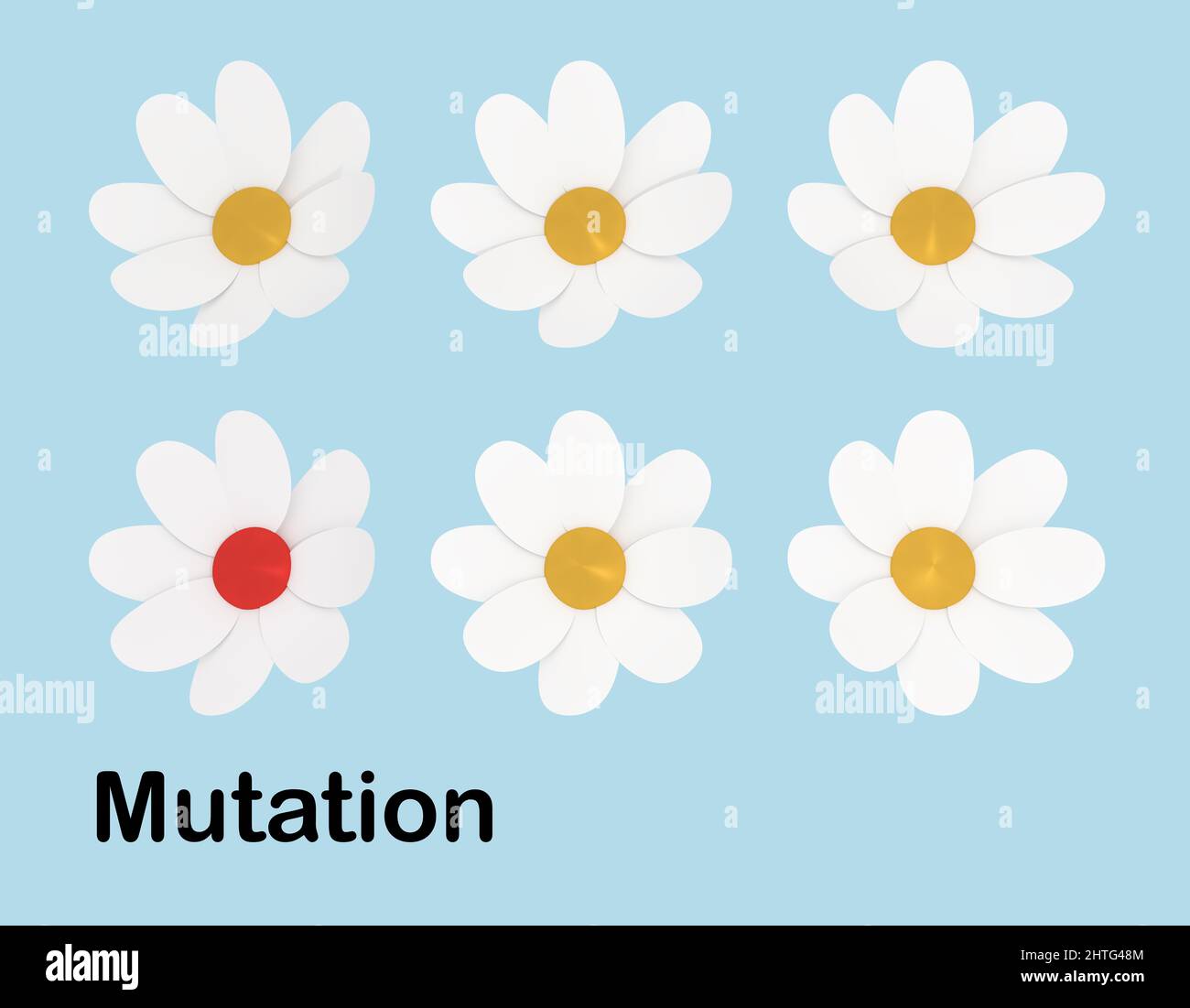 Genetic mutation flower hi-res stock photography and images - Alamy