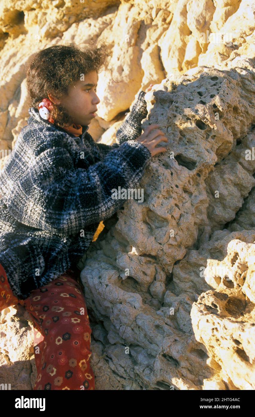 People looking at dinosaur fossils hi-res stock photography and images ...