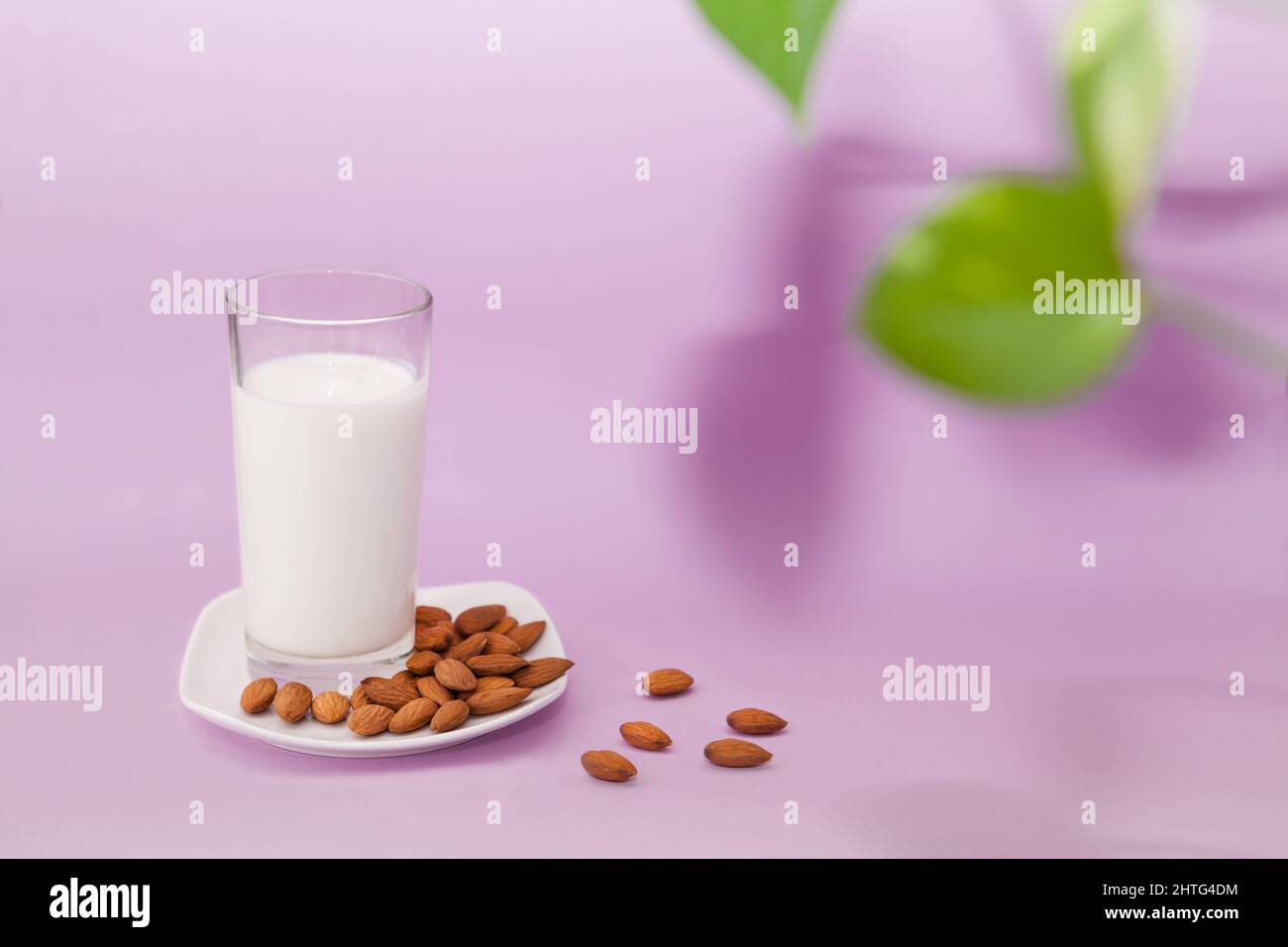 Vegetarian almond nut milk dietary healthy drink Stock Photo - Alamy
