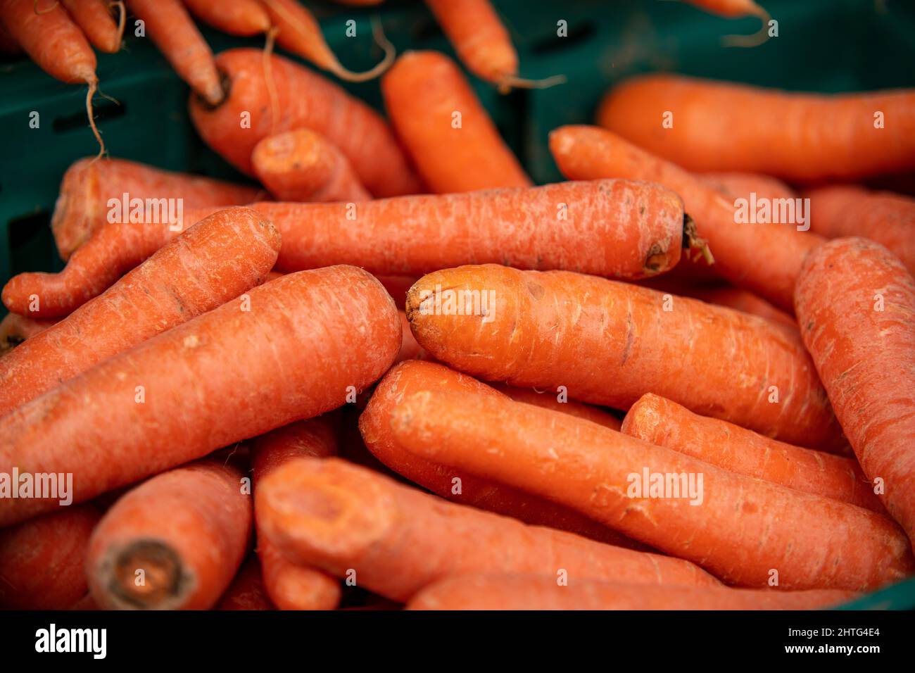 Natural fruits and vegetables without preservatives, on natural soil ...