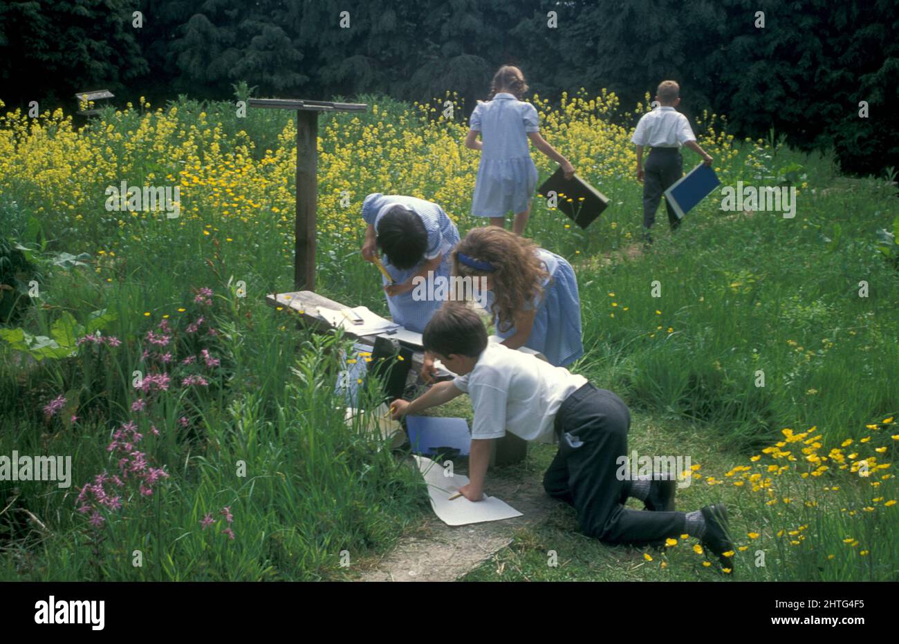 late primary school children studying their spring environmental garden ...