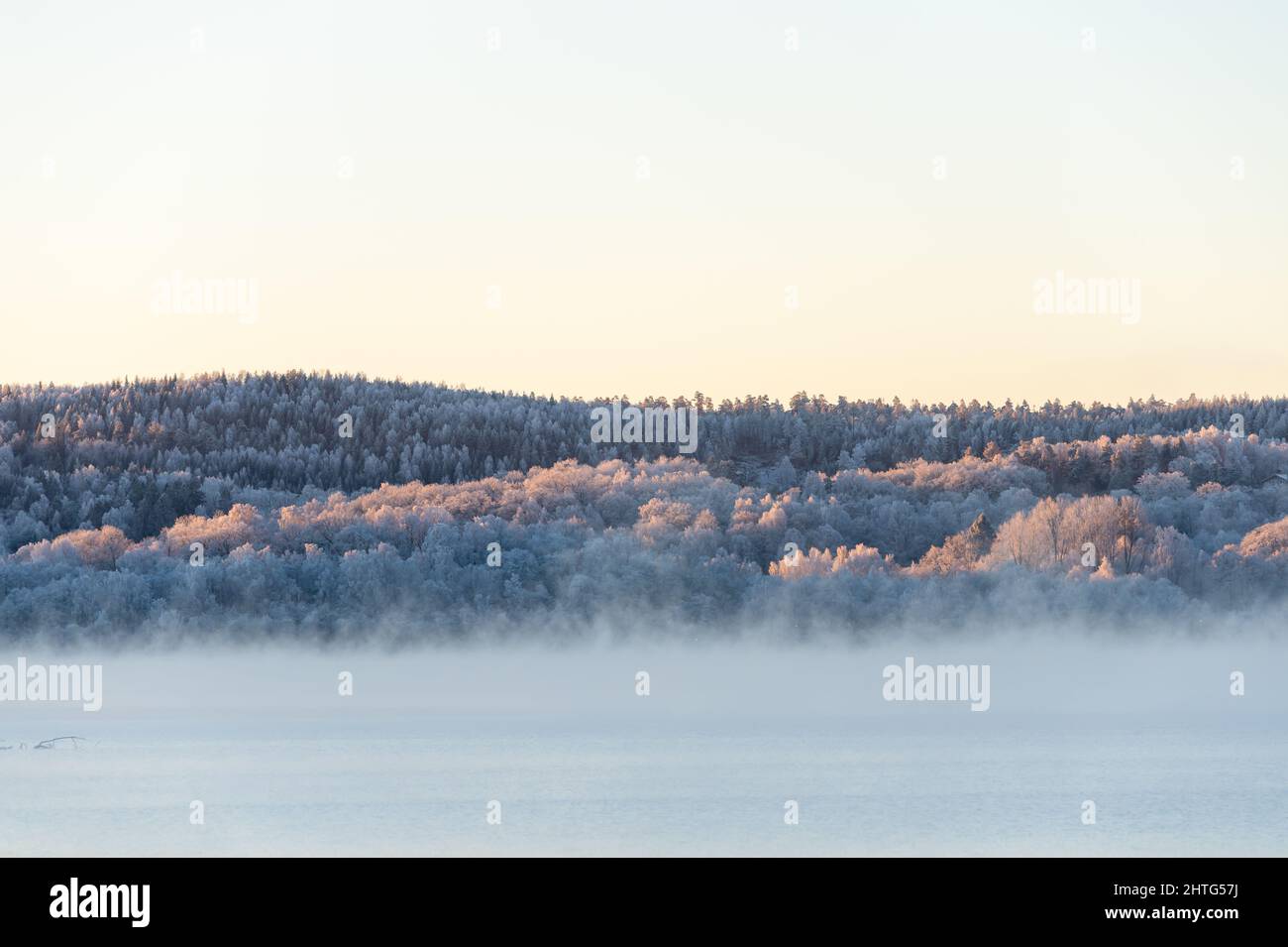 Mist, sunrise, dancing fairies create a dreamy scene. Beautiful morning ...