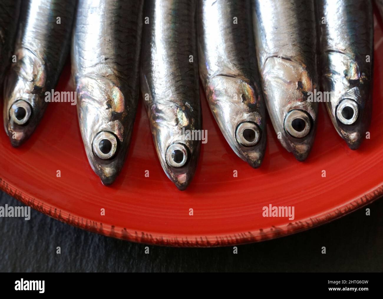Black sea anchovy hi-res stock photography and images - Alamy