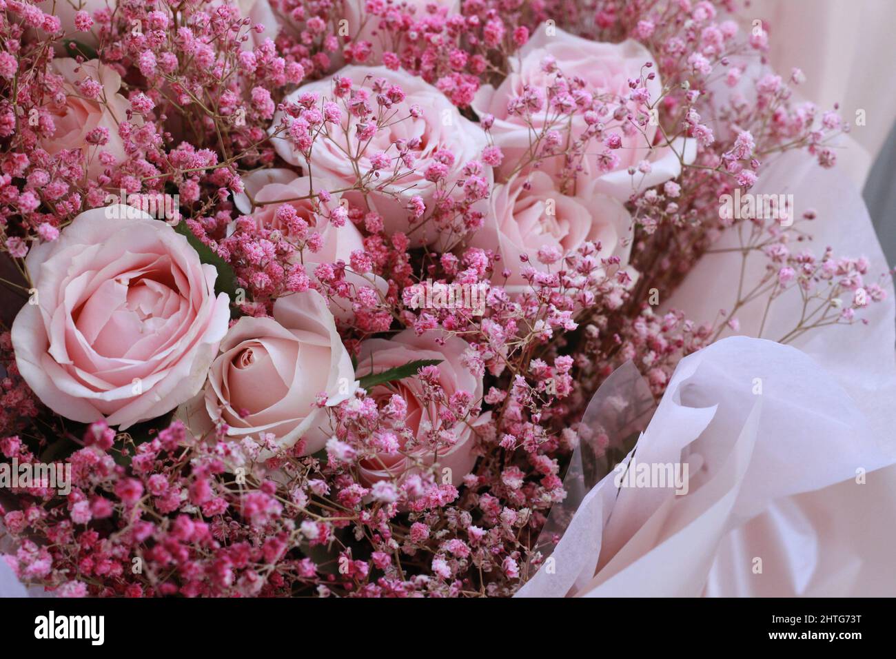 Perfectly pink roses bouquet hi-res stock photography and images - Alamy