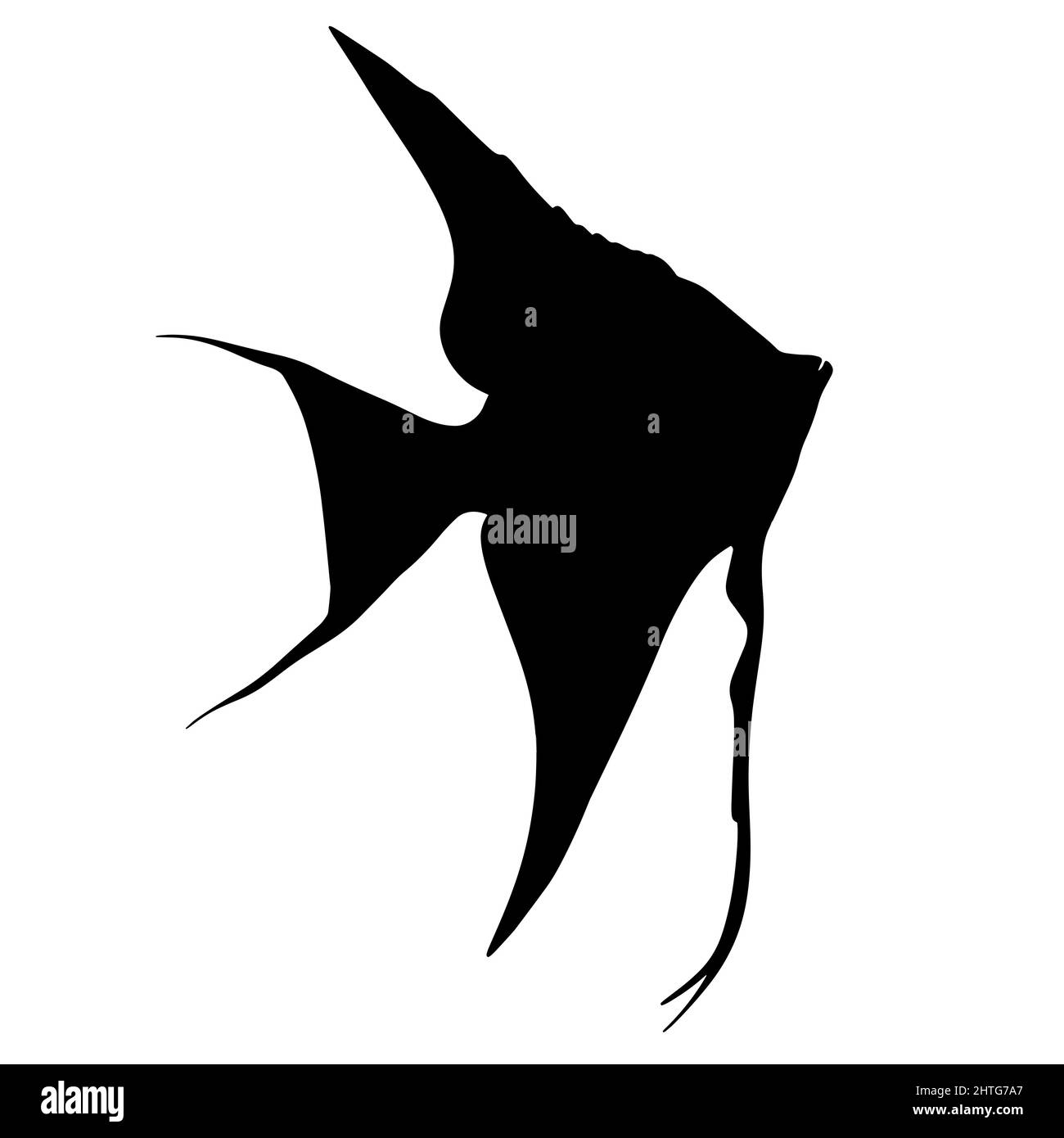 Angelfish Silhouette